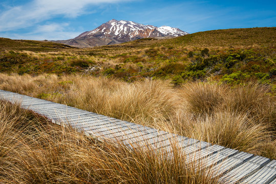 Zaneta photos, images, assets | Adobe Stock