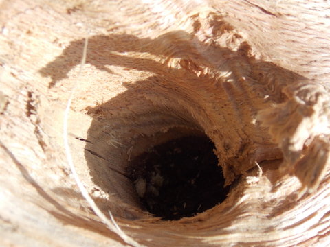 Astloch Images – Parcourir 3,592 le catalogue de photos, vecteurs et ...