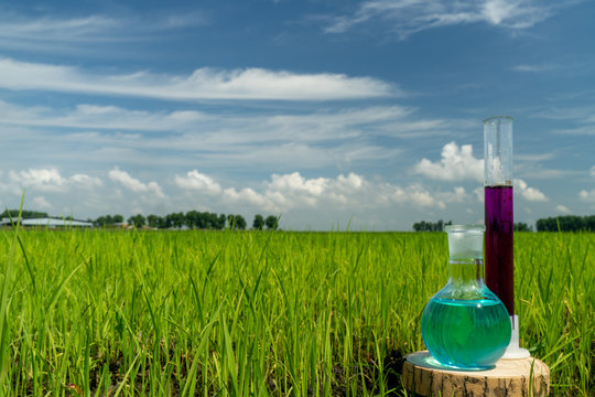 Agrochemistry Bilder – Durchsuchen 980 Archivfotos, Vektorgrafiken und ...