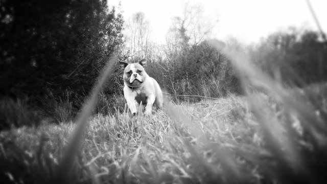 Runen Bilder – Durchsuchen 2,474,242 Archivfotos, Vektorgrafiken und ...