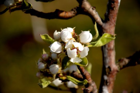 รูปภาพDenailing – เลือกดูภาพถ่ายสต็อก เวกเตอร์ และวิดีโอ7 | Adobe Stock