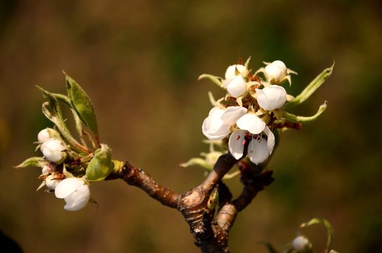 「Denailing」の写真素材 | 6件の無料イラスト画像 | Adobe Stock