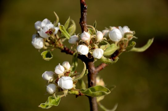 รูปภาพDenailing – เลือกดูภาพถ่ายสต็อก เวกเตอร์ และวิดีโอ7 | Adobe Stock
