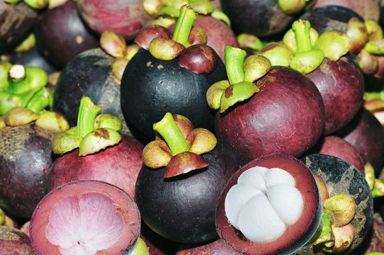 Mangostane Bilder – Durchsuchen 32,163 Archivfotos, Vektorgrafiken und ...