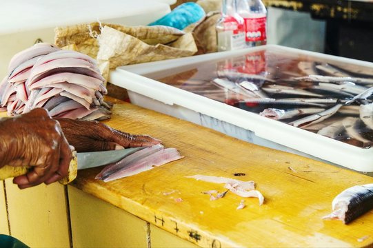 Prepared Person Bilder – Durchsuchen 395,977 Archivfotos ...