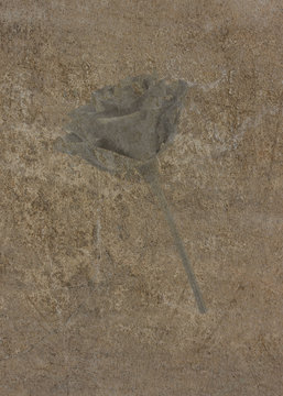 Rustly Images – Browse 37 Stock Photos, Vectors, and Video | Adobe Stock