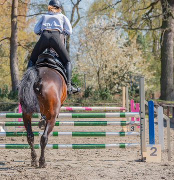 Springpferde Bilder – Durchsuchen 1,037 Archivfotos, Vektorgrafiken und ...
