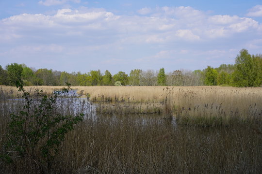 「Wasserlandschaft」の画像 - 5,913 件の Stock 写真、ベクターおよびビデオ | Adobe Stock