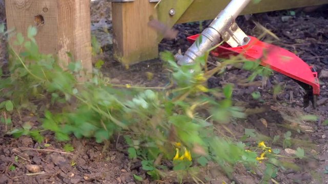 Strimmer Images – Browse 99,616 Stock Photos, Vectors, and Video ...