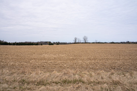"Barren Field" Images – Browse 148 Stock Photos, Vectors, and Video ...