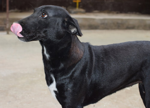 Kutta Images – Browse 50 Stock Photos, Vectors, and Video | Adobe Stock