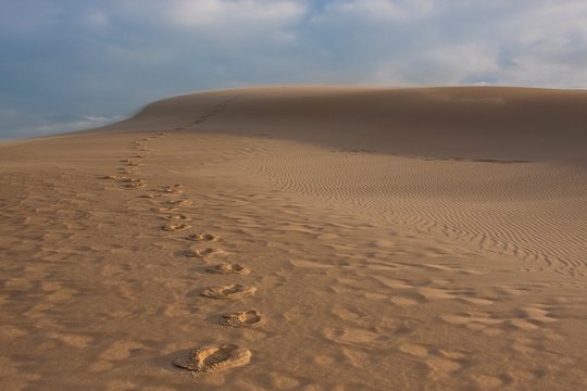 รูปภาพTritte – เลือกดูภาพถ่ายสต็อก เวกเตอร์ และวิดีโอ314 | Adobe Stock