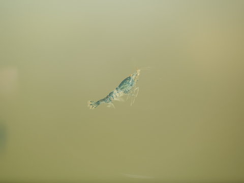 「Kanc」の画像 - 205 件の Stock 写真、ベクターおよびビデオ | Adobe Stock