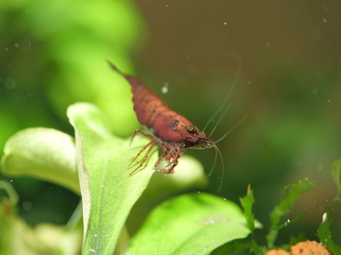 Kanc-Bilder: Stock-Fotos & -Videos. | Adobe Stock