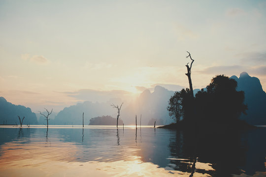 Sekes Bilder – Durchsuchen 55,558 Archivfotos, Vektorgrafiken und ...