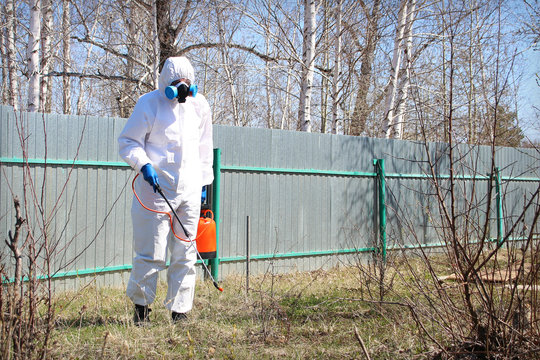 Disinsection Bilder – Durchsuchen 602 Archivfotos, Vektorgrafiken und ...