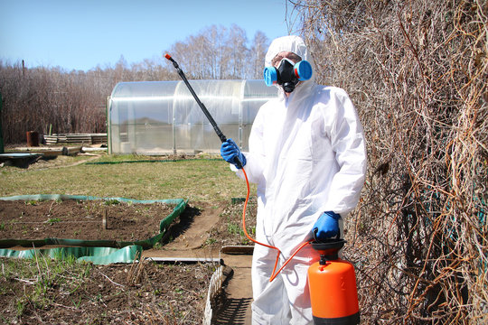 รูปภาพDisinsection – เลือกดูภาพถ่ายสต็อก เวกเตอร์ และวิดีโอ602 | Adobe ...