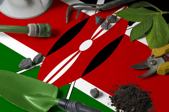 "Kenyan Flag"-Bilder: Stock-Fotos & -Videos. | Adobe Stock