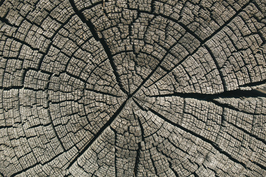 "Radial Cracks" Images – Browse 76 Stock Photos, Vectors, and Video ...