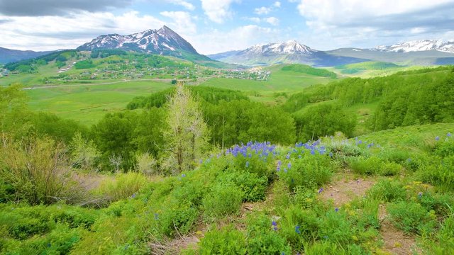 Snodgrass Images – Browse 196 Stock Photos, Vectors, and Video | Adobe ...