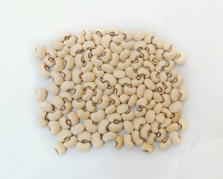 Rongi Images – Browse 39 Stock Photos, Vectors, and Video | Adobe Stock