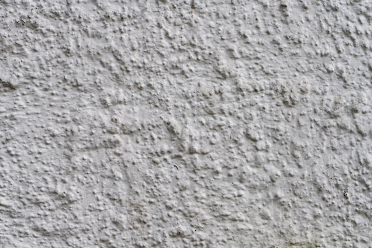 Grobputz Images – Browse 11 Stock Photos, Vectors, and Video | Adobe Stock