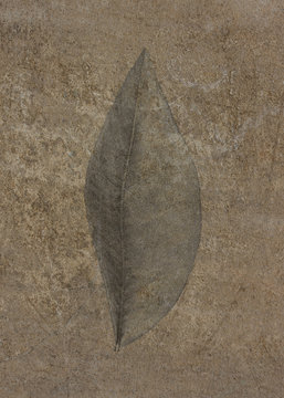 Rustly Images – Browse 38 Stock Photos, Vectors, and Video | Adobe Stock