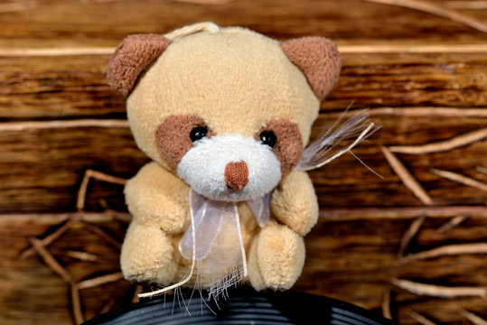 Osito 이미지 – 찾아보기 1,556 스톡 사진, 벡터 및 비디오 | Adobe Stock