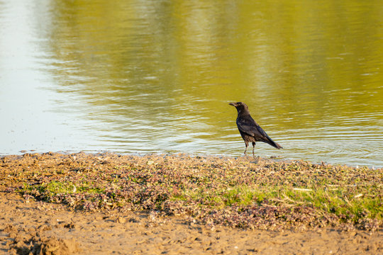 8,283 IMAGES, PHOTOS ET ILLUSTRATIONS VECTORIELLES STOCK APPROPRIÉES ...