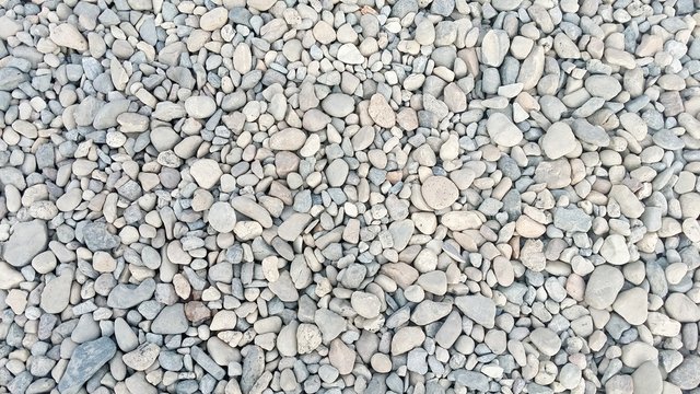 Imágenes de Pebble: descubre bancos de fotos, ilustraciones, vectores y ...