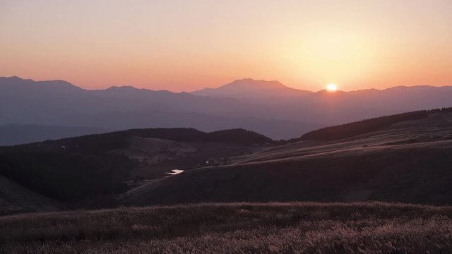 รูปภาพSuwa – เลือกดูภาพถ่ายสต็อก เวกเตอร์ และวิดีโอ1,126 | Adobe Stock