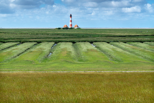 Warft 画像 - 参照 813 Stock 写真、ベクターおよびビデオ | Adobe Stock