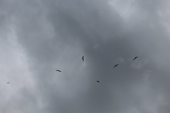 รูปภาพBando – เลือกดูภาพถ่ายสต็อก เวกเตอร์ และวิดีโอ6,281 | Adobe Stock