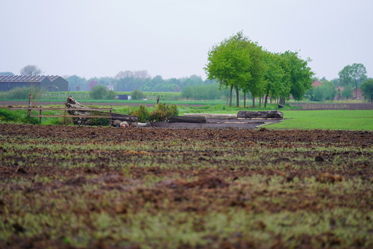 Mest Images – Browse 62 Stock Photos, Vectors, and Video | Adobe Stock