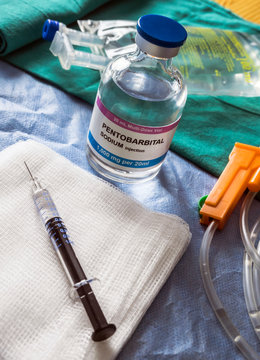 รูปภาพPentobarbital – เลือกดูภาพถ่ายสต็อก เวกเตอร์ และวิดีโอ196 | Adobe ...