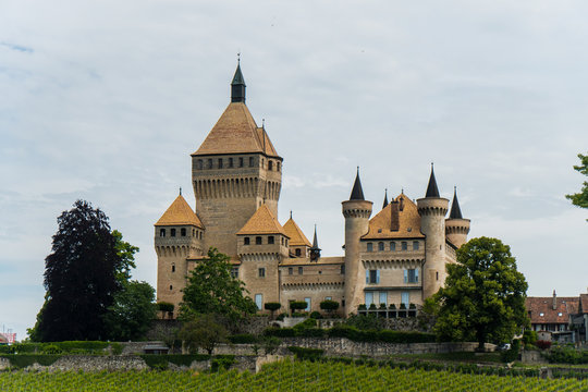 รูปภาพGreengrass – เลือกดูภาพถ่ายสต็อก เวกเตอร์ และวิดีโอ2,691 | Adobe ...