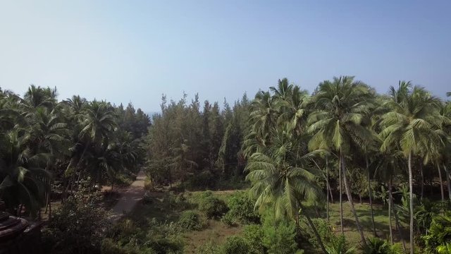 Ped Video Footage – Browse 387 HD Stock Video and Footage | Adobe Stock