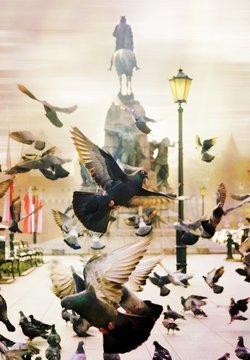 รูปภาพFresk – เลือกดูภาพถ่ายสต็อก เวกเตอร์ และวิดีโอ3,475 | Adobe Stock