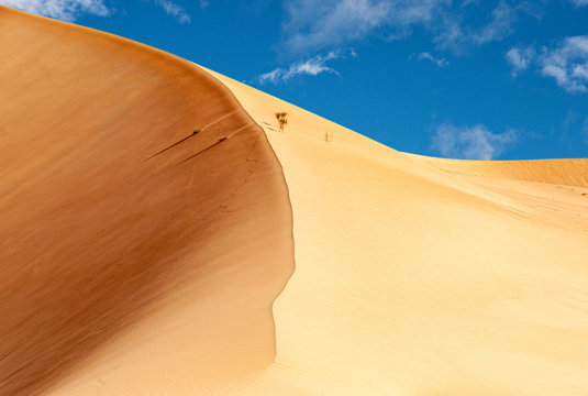 รูปภาพChali – เลือกดูภาพถ่ายสต็อก เวกเตอร์ และวิดีโอ104 | Adobe Stock
