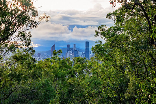 รูปภาพBushland – เลือกดูภาพถ่ายสต็อก เวกเตอร์ และวิดีโอ19,484 | Adobe Stock