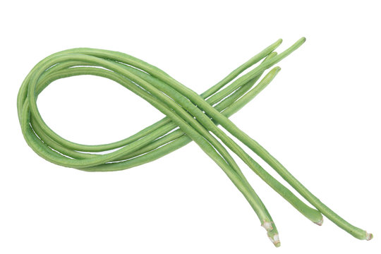 รูปภาพCowpea – เลือกดูภาพถ่ายสต็อก เวกเตอร์ และวิดีโอ13,392 | Adobe Stock