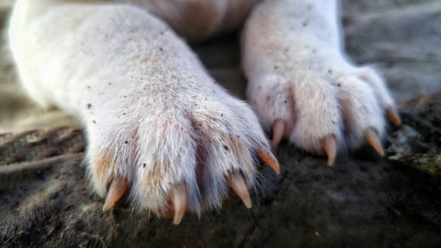 Befummeln Bilder – Durchsuchen 677,549 Archivfotos, Vektorgrafiken und ...