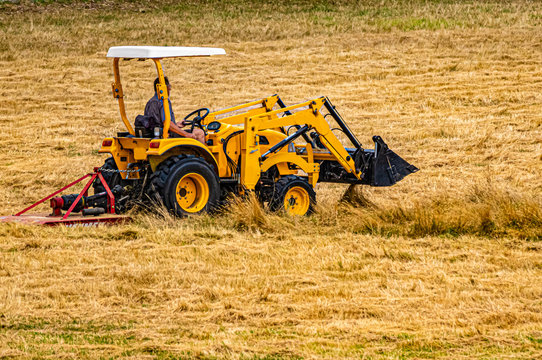 Slasher Images – Browse 854 Stock Photos, Vectors, and Video | Adobe Stock