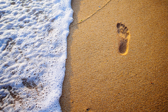 รูปภาพFootprint – เลือกดูภาพถ่ายสต็อก เวกเตอร์ และวิดีโอ339,584 | Adobe ...