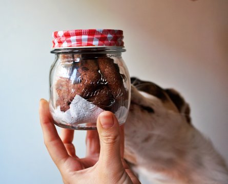 Smelling Cookies Images – Browse 4,813 Stock Photos, Vectors, and Video ...