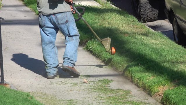 "Weed Whacker" Images – Browse 79,791 Stock Photos, Vectors, and Video ...