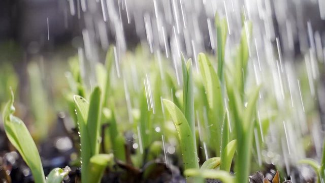 Emergent Images – Browse 2,578 Stock Photos, Vectors, and Video | Adobe ...