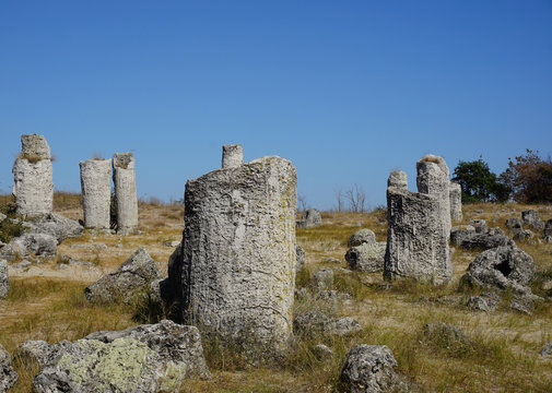 รูปภาพKamani – เลือกดูภาพถ่ายสต็อก เวกเตอร์ และวิดีโอ1,430 | Adobe Stock