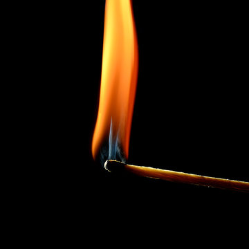 Streichholz bilder – Bläddra bland 4,002 stockfoton, vektorer och videor | Adobe Stock