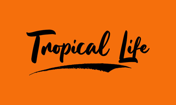 "Tropical Life" Bilder – Durchsuchen 4,930 Archivfotos, Vektorgrafiken ...